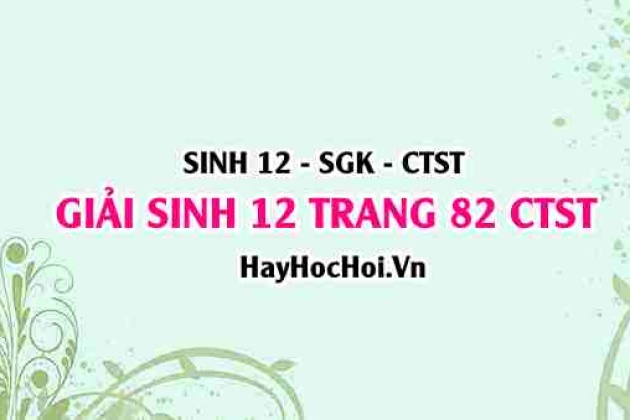 Giải Sinh 12 trang 82 Chân trời sáng tạo SGK